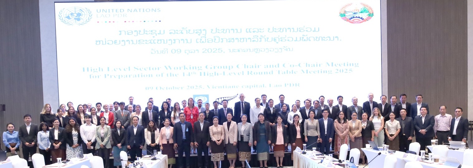 High-Level Meeting of Sector Working Group Chairs and Co-Chairs with ...